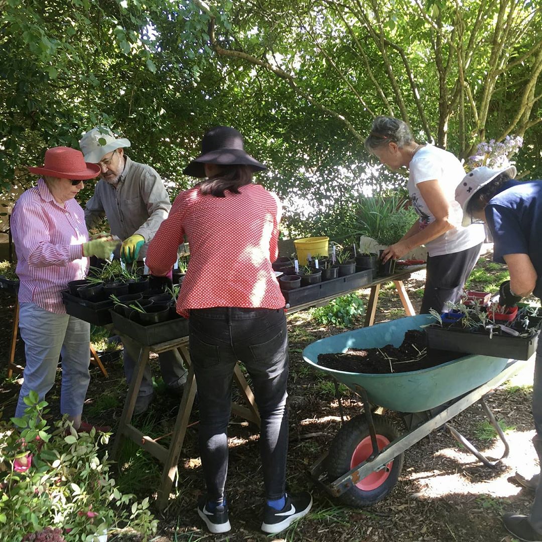 Gather in the Garden – Green Platypus Gardens